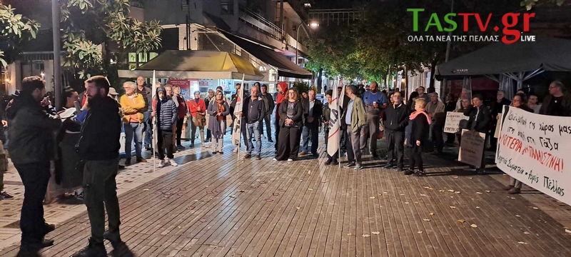 ΕΔΕΣΣΑ: ΔΙΑΜΑΡΤΥΡΙΑ ΓΙΑ ΤΗΝ ΣΦΑΓΗ ΣΤΗΝ ΓΑΖΑ - ΒΙΝΤΕΟ ΦΩΤΟ | TASTV.gr ...