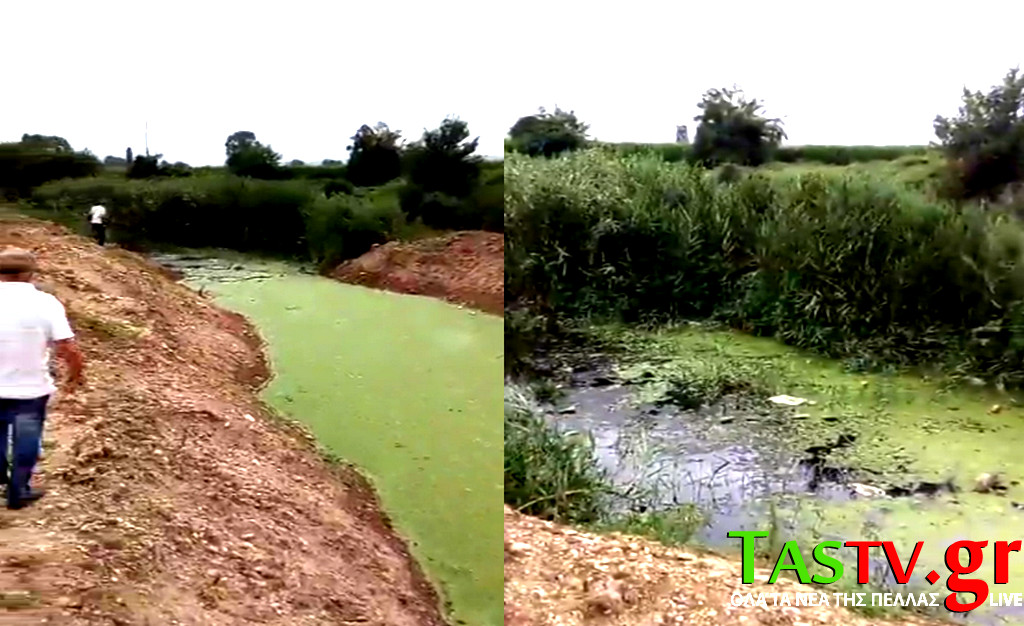 ΒΙΝΤΕΟ ΣΟΚ ΑΠΟ ΤΑ ΛΗΜΜΑΤΑ ΠΟΥ ΟΔΗΓΟΥΝ ΣΤΗΝ ΛΙΜΝΗ ΒΕΓΟΡΙΤΙΔΑ-KAMMIA ...