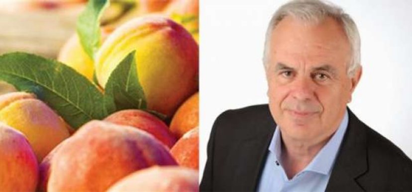 Β. ΑΠΟΣΤΟΛΟΥ: ΟΙ ΡΟΔΑΚΙΝΟΠΑΡΑΓΩΓΟΙ ΘΑ ΑΠΟΖΗΜΙΩΘΟΥΝ ΕΓΚΑΙΡΑ ΚΑΙ ΟΠΩΣ ...