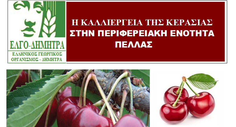 ΕΛ.Γ.Ο. «ΔΗΜΗΤΡΑ» ΣΚΥΔΡΑΣ ΗΜΕΡΙΔΑ «Η ΚΑΛΛΙΕΡΓΕΙΑ ΤΗΣ ΚΕΡΑΣΙΑΣ ΣΤΗΝ ...