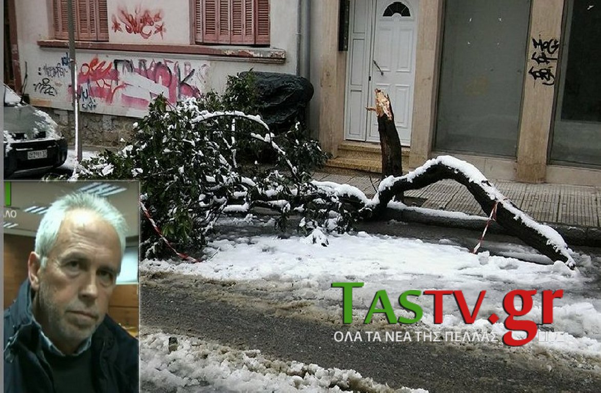 ΕΔΕΣΣΑ: ΔΗΛΩΣΕΙΣ ΑΝΤΙΔΗΜΑΡΧΟΥ ΧΑΤΖΟΓΛΟΥ ΓΙΑΝΝΗ ΓΙΑ ΤΗΝ ΚΑΚΟΚΑΙΡΙΑ ...