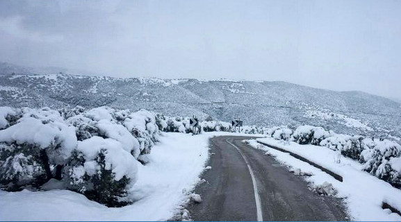 ΞΕΚΙΝΗΣΕ ΔΥΝΑΤΗ ΧΙΟΝΟΠΤΩΣΗ ΣΤΗΝ ΑΡΝΙΣΣΑ ΠΕΛΛΑΣ ΠΡΙΝ ΑΠΟ ΛΙΓΗ ΩΡΑ ...