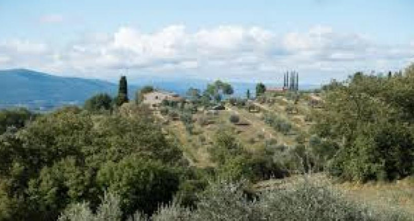 Η ΠΑΡΑΔΟΣΙΑΚΗ ΓΕΩΡΓΙΑ ΑΝΑΒΙΩΝΕΙ ΣΤΗΝ ΙΤΑΛΙΑ | TASTV.gr | Τα νέα της ...