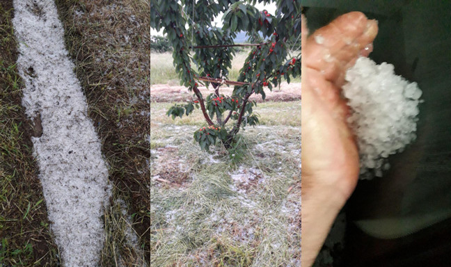 ΧΑΛΑΖΟΠΤΩΣΗ ΣΑΡΩΣΕ ΤΑ ΧΩΡΙΑ ΦΛΑΜΟΥΡΙΑ ΠΛΑΤΑΝΗ ΑΓΙΑ ΦΩΤΕΙΝΗ ΚΑΙ ΠΕΡΑΙΑ ...
