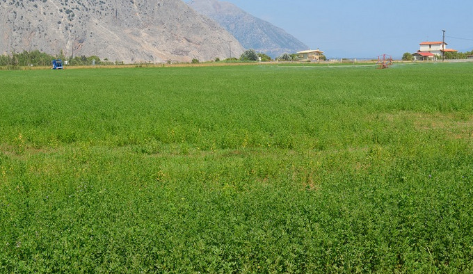 MΕΧΡΙ ΤΙΣ 25 ΙΟΥΝΙΟΥ ΟΙ ΑΙΤΗΣΕΙΣ ΓΙΑ ΤΟ ΥΠΟΜΕΤΡΟ 6.3 «ΑΝΑΠΤΥΞΗ ΜΙΚΡΩΝ ...