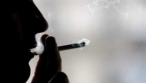 ΝΑΡΚΩΝΟΥΝ ΤΑ ΘΥΜΑΤΑ ΤΟΥΣ ΜΕ ΔΗΛΗΤΗΡΙΑΣΜΕΝΑ ΤΣΙΓΑΡΑ ΓΙΑ ΝΑ ΤΑ ΚΛΕΨΟΥΝ ...