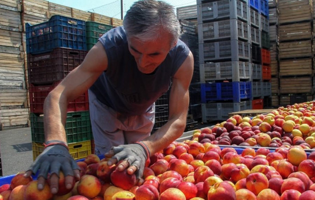 Γ. ΣΗΦΑΚΗΣ: ΟΙ ΦΟΡΕΙΣ ΤΩΝ ΑΓΡΟΤΩΝ ( ΣΕΑΣ, ΑΓΡΟΤΙΚΟΙ ΣΥΛΛΟΓΟΙ) ΝΑ ...