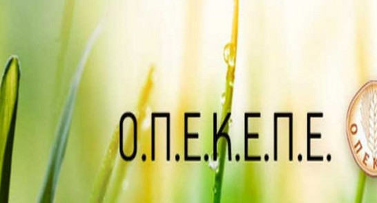 ΟΠΕΚΕΠΕ ΠΛΗΡΩΜΕΣ, ΚΟΙΝΩΝΙΚΟ ΤΙΜΟΛΟΓΙΟ ΔΕΗ, ΕΛΓΑ ΑΠΟΖΗΜΙΩΣΕΙΣ, ΕΠΙΔΟΜΑ ...
