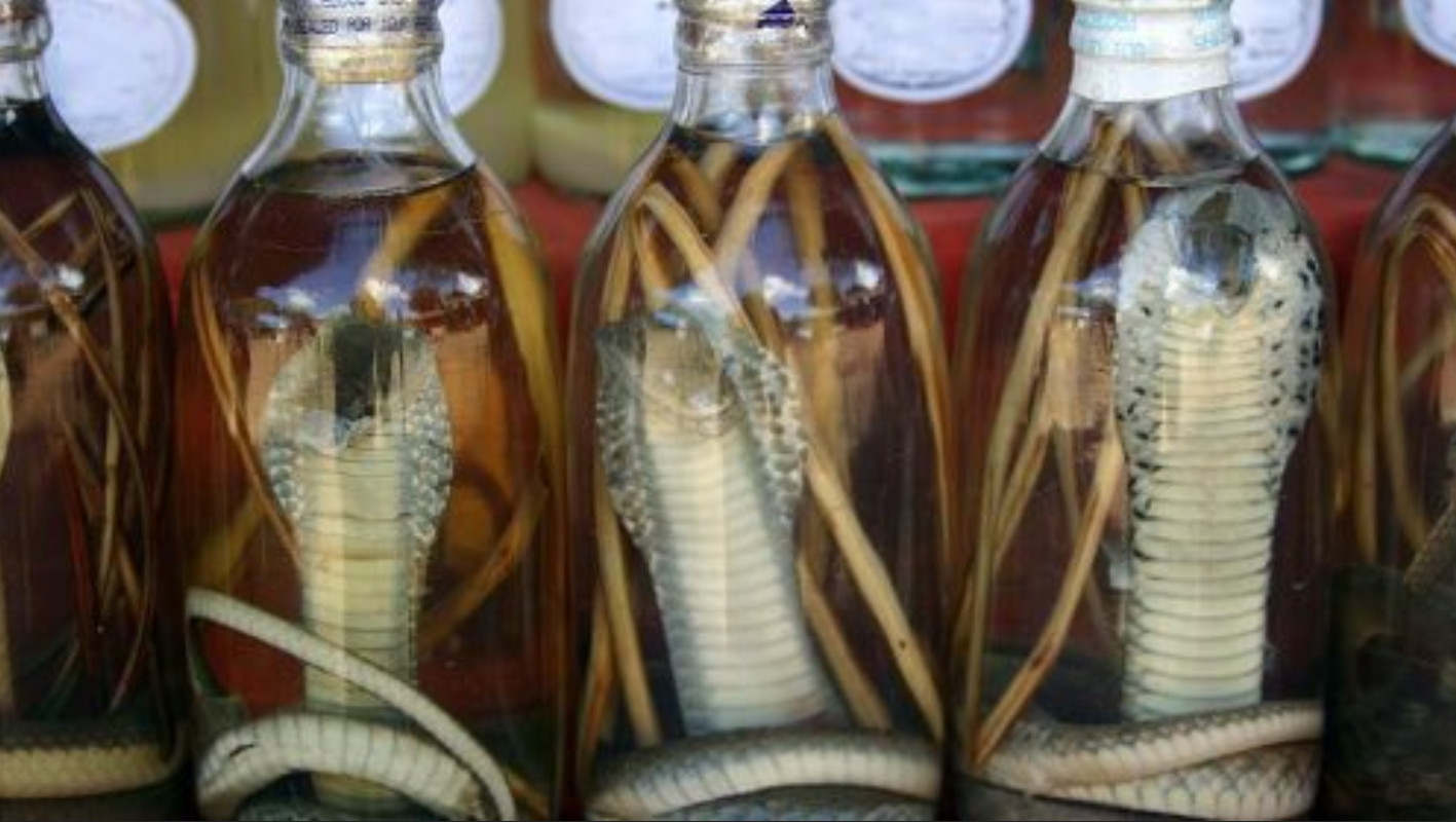 ΑΠΟ ΦΙΔΙΑ ΠΟΥ ΕΧΟΥΝ ΦΑΕΙ ΜΟΛΥΣΜΕΝΕΣ ΝΥΧΤΕΡΙΔΕΣ ΠΡΟΕΡΧΕΤΑΙ Ο ΦΟΝΙΚΟΣ ...