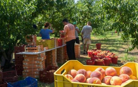 ΣΤΑ ΧΩΡΑΦΙΑ ΜΕΤΑ ΑΠΟ 30 ΟΛΟΚΛΗΡΑ ΧΡΟΝΙΑ ΕΛΛΗΝΕΣ ΕΡΓΑΤΕΣ! | TASTV.gr ...