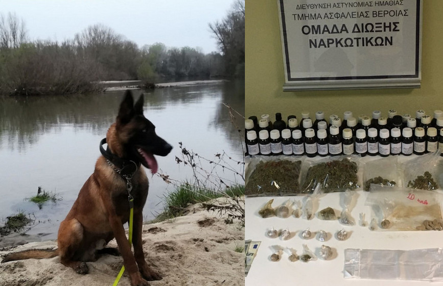 ΣΥΝΕΛΗΦΘΗΣΑΝ ΑΤΟΜΑ ΓΙΑ ΔΙΑΚΙΝΗΣΗ ΝΑΡΚΩΤΙΚΩΝ & ΜΕΛΗ ΕΓΚΛΗΜΑΤΙΚΗΣ ΟΜΑΔΑΣ ...