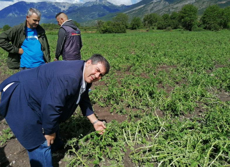 ΈΚΚΛΗΣΗ ΑΝΤΙΠΕΡ. ΠΕΛΛΑΣ ΔΑΝΗ ΤΖΑΜΤΖΗ ΓΙΑ ΑΜΕΣΗ ΕΚΤΙΜΗΣΗ ΤΩΝ ΖΗΜΙΩΝ ΣΤΙΣ ...