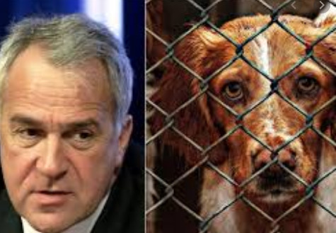 ΣΥΛΛΟΓΗ ΥΠΟΓΡΑΦΩΝ ΠΡΟΚΕΙΜΕΝΟΥ ΝΑ ΑΠΟΣΥΡΘΕΙ ΤΟ ΑΡΘΡΟ ΒΟΡΙΔΗ ΓΙΑ ΤΗΝ ...