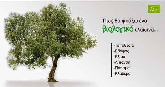 ΔΙΠΛΑΣΙΑ ΑΠΟΔΟΣΗ ΣΕ ΒΙΟΛΟΓΙΚΟ ΕΛΑΙΩΝΑ ΥΠΟΛΟΓΙΖΕΙ ΤΟ ΓΠΑ | TASTV.gr | Τα ...