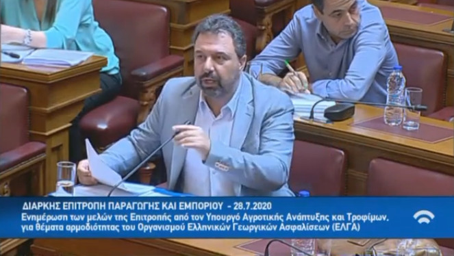 ΣΤ. ΑΡΑΧΩΒΙΤΗΣ: «ΟΙ ΑΜΑΡΤΙΕΣ ΣΑΣ ΠΛΗΓΩΣΑΝ ΤΟΝ ΕΛΓΑ ΚΑΙ ΜΕΤΕΦΕΡΑΝ ΤΟ ...