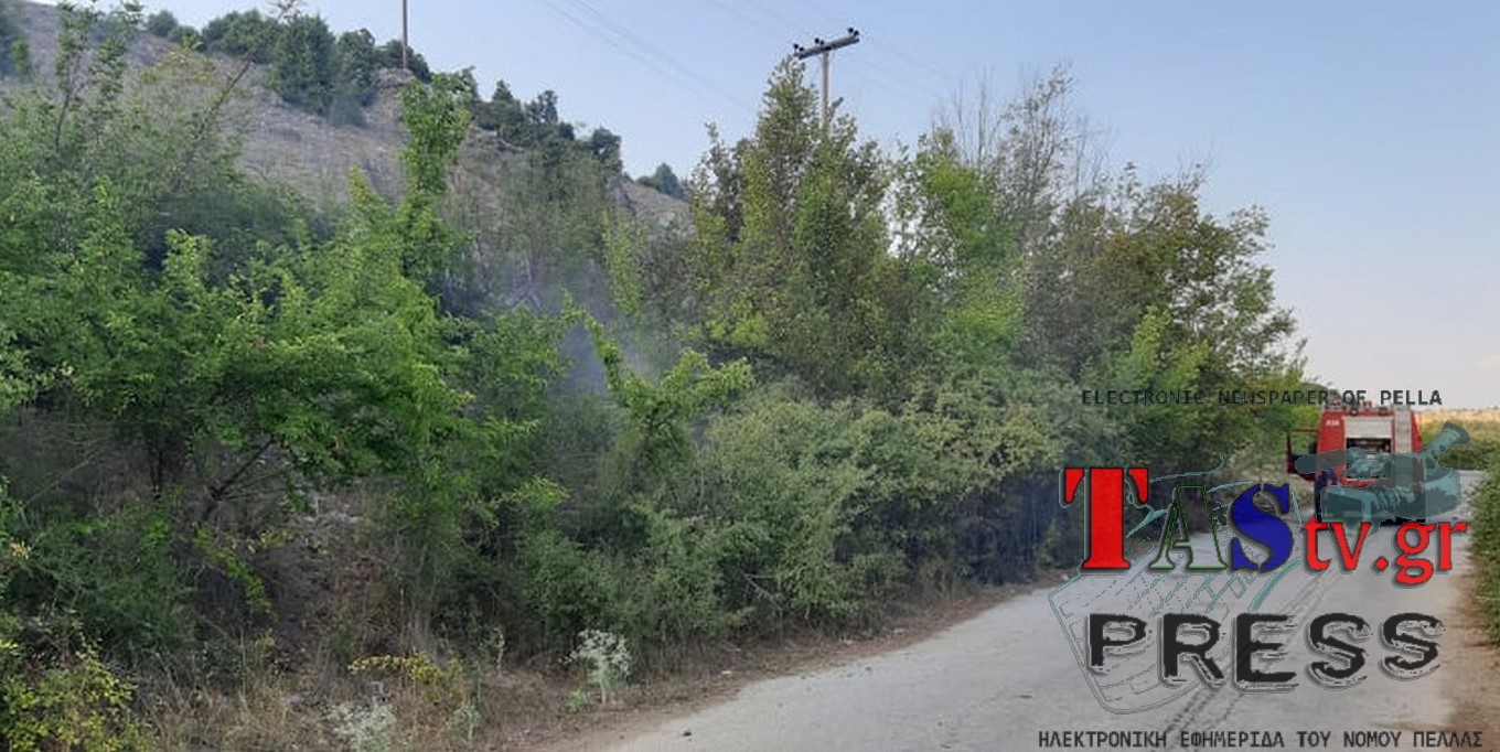 ΦΩΤΙΑ ΣΤΗΝ Ε.Ο. ΕΔΕΣΣΑΣ ΦΛΩΡΙΝΑΣ ΣΤΗΝ Τ.Κ. ΔΡΟΣΙΑΣ ΕΔΕΣΣΑΣ [ΒΙΝΤΕΟ ΦΩΤΟ ...