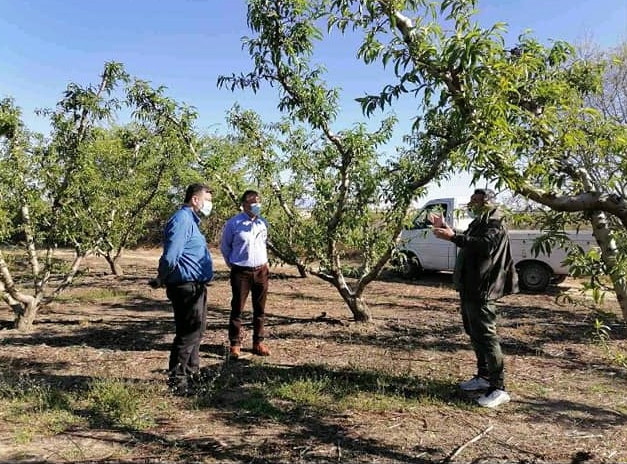 ΠΡΑΞΕΙΣ ΓΙΑ ΤΗ ΜΑΚΕΔΟΝΙΑ ΕΠΙΣΚΕΨΗ ΓΙΑ ΠΑΓΕΤΟΠΛΗΚΤΟΥΣ ΣΕ ΠΕΛΛΑ ΚΑΙ ...