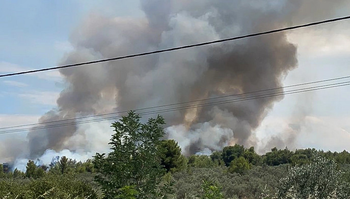 14ΧΡΟΝΟΣ ΟΜΟΛΟΓΗΣΕ ΟΤΙ ΕΒΑΛΕ 9 ΑΠΟ ΤΙΣ 13 ΦΩΤΙΕΣ- ΠΡΟΣΗΧΘΗΣΑΝ ΚΑΙ ΟΙ ...