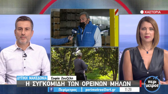ΤΑ ΞΕΧΩΡΙΣΤΑ ΜΗΛΑ ΤΗΣ ΚΑΣΤΟΡΙΑΣ ΚΑΙ Η ΑΝΗΣΥΧΙΑ ΤΩΝ ΠΑΡΑΓΩΓΩΝ – ΒΙΝΤΕΟ ...