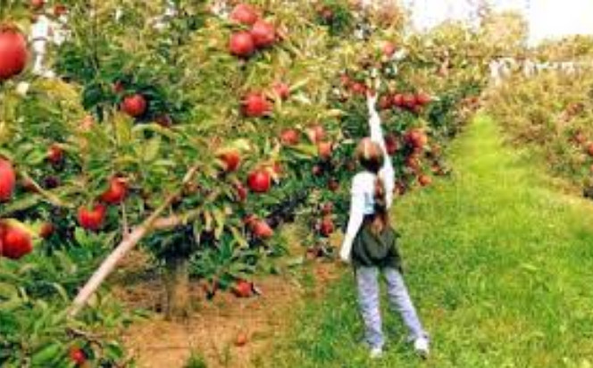ΠΑΡΑΤΕΙΝΕΤΑΙ Η ΠΡΟΘΕΣΜΙΑ ΑΙΤΗΣΕΩΝ ΓΙΑ ΜΕΤΑΚΛΗΣΗ ΕΠΟΧΙΚΩΝ ΕΡΓΑΤΩΝ ...
