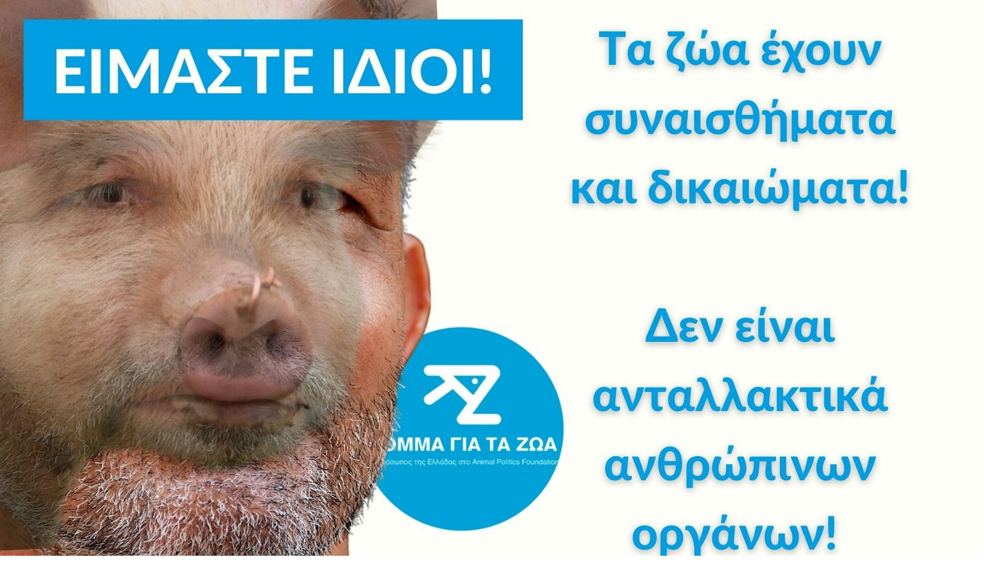 ΟΙ ΦΙΛΟΖΩΟΙ ΚΑΤΑ ΤΗΣ "ΚΑΤΑΣΚΕΥΗΣ" ΖΩΩΝ ΓΙΑ ΤΙΣ ΜΕΤΑΜΟΣΧΕΥΣΕΙΣ ΣΕ ...
