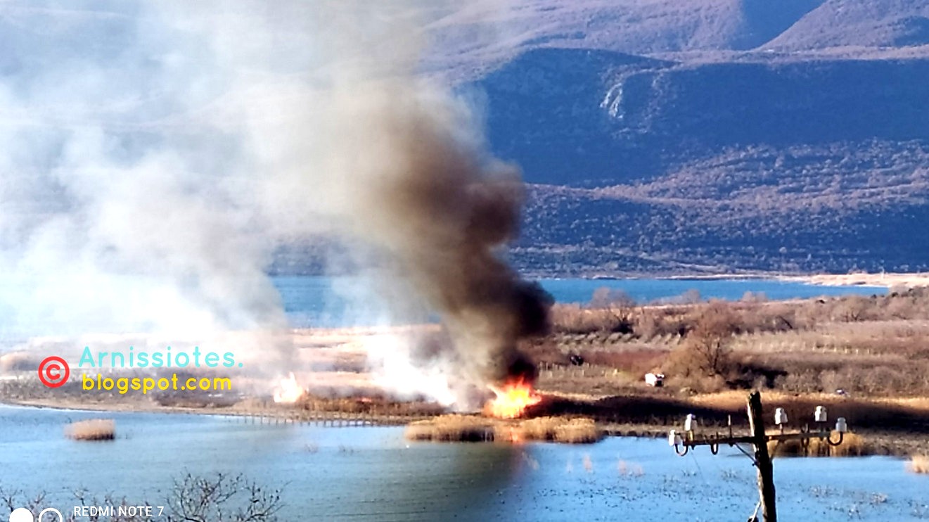 ΦΩΤΙΕΣ ΣΕ ΚΑΛΑΜΙΕΣ ΔΙΠΛΑ ΣΕ ΠΑΡΑΝΟΜΕΣ ΚΑΛΛΙΕΡΓΙΕΣ ΣΤΗΝ ΛΙΜΝΗ ΒΕΓΟΡΙΤΙΔΑ ...