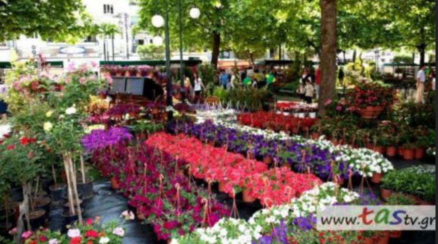 ΕΔΕΣΣΑ: ΞΕΚΙΝΗΣΑΝ ΟΙ ΔΗΛΩΣΕΙΣ ΣΥΜΜΕΤΟΧΗΣ ΓΙΑ ΤΗΝ ΑΝΘΟΕΚΘΕΣΗ 2022 ...