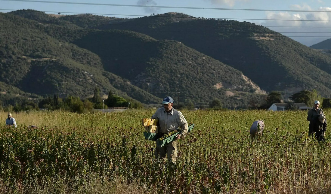 ΕΠΑΡΚΟΥΝ Ή ΟΧΙ ΤΑ ΑΠΟΘΕΜΑΤΑ ΤΗΣ ΕΛΛΑΔΑΣ ΣΕ ΠΡΩΤΕΣ ΥΛΕΣ ΚΑΙ ΔΗΜΗΤΡΙΑΚΑ ...