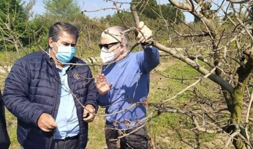 ΑΠΟΖΗΜΙΩΣΕΙΣ ΓΙΑ ΠΑΓΕΤΟ ΟΛΕΣ ΟΙ ΠΟΙΚΙΛΙΕΣ ΠΟΥ ΥΠΕΣΤΗΣΑΝ ΖΗΜΙΑ 14-4-2022 ...