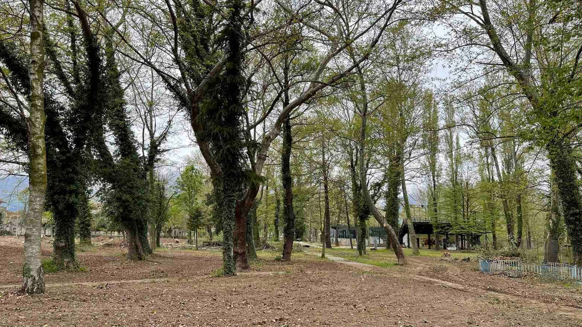 ΔΗΜΟΣ ΑΛΜΩΠΙΑΣ : ΕΡΓΑΣΙΕΣ ΣΤΟ ΔΑΣΑΚΙ ΤΗΣ ΑΡΙΔΑΙΑΣ | TASTV.gr | Τα νέα ...