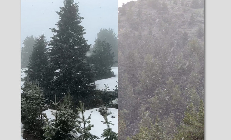 ΠΡΩΤΟΜΑΓΙΑ ΜΕ ΧΙΟΝΙΑ ΣΤΟ ΚΑΙΜΑΚΤΣΑΛΑΝ [ΒΙΝΤΕΟ] | TASTV.gr | Τα νέα της ...