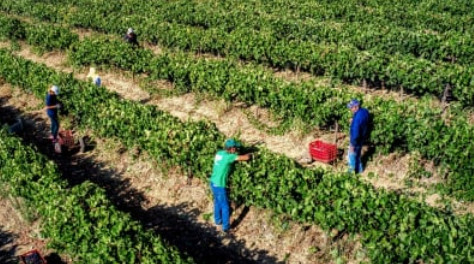 ΤΑ ΟΝΟΜΑΤΑ ΤΩΝ ΠΡΩΤΩΝ 1.501 NEΩΝ ΑΓΡΟΤΩΝ ΠΟΥ ΘΑ ΠΑΡΟΥΝ ΠΟΣΑ 35.000 – 40 ...
