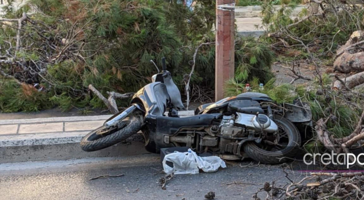 ΣΚΟΤΩΘΗΚΕ 50ΧΡΟΝΟΣ - ΕΠΕΣΕ ΠΑΝΩ ΤΟΥ ΞΕΡΙΖΩΜΕΝΟ ΔΕΝΔΡΟ [ ΒΙΝΤΕΟ - ΦΩΤΟ ...