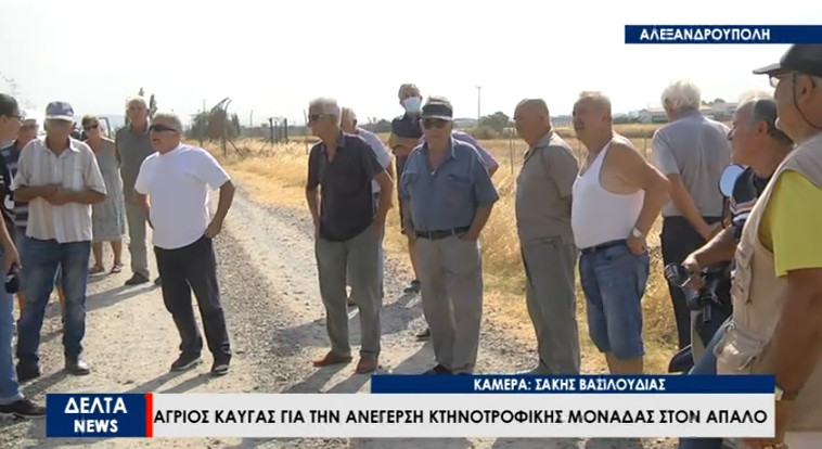 ΆΓΡΙΟΣ ΚΑΥΓΑΣ ΜΕΤΑΞΥ ΚΑΤΟΙΚΩΝ ΜΕ ΑΦΟΡΜΗ ΤΗΝ ΑΝΕΓΕΡΣΗ ΚΤΗΝΟΤΡΟΦΙΚΗΣ ...