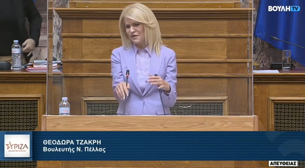 Θ. ΤΖΑΚΡΗ - ΟΜΙΛΙΑ ΓΙΑ ΤΟ ΝΟΜΟΣΧΕΔΙΟ ΓΙΑ ΤΑ ΕΠΙΧΕΙΡΗΜΑΤΙΚΑ ΠΑΡΚΑ ...