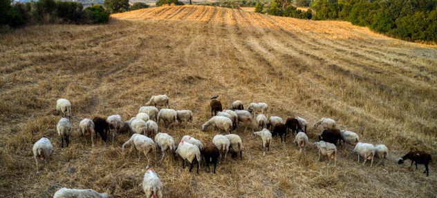 ΚΑΤΑΓΓΕΛΙΑ: Η Ε.Ε. ΕΧΕΙ ΔΩΣΕΙ ΠΡΑΣΙΝΟ ΦΩΣ ΓΙΑ ΜΕΙΩΣΗ ΦΟΡΟΛΟΓΙΑΣ ΣΤΟΝ ...