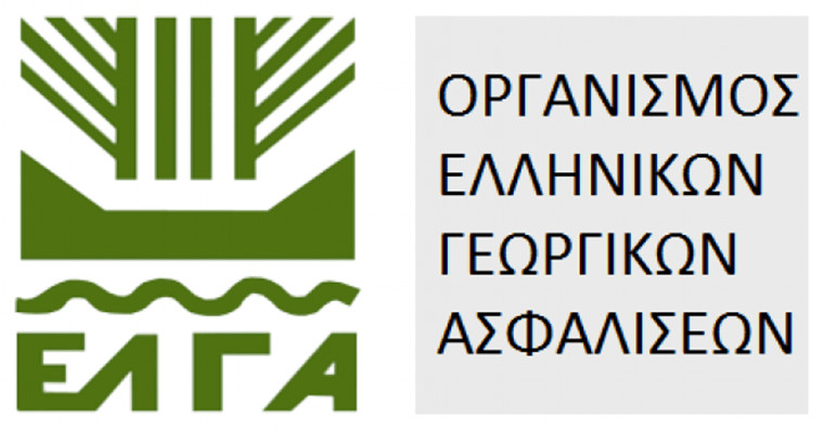 ΕΔΕΣΣΑ: ΞΕΚΙΝΟΥΝ ΟΙ ΔΗΛΩΣΕΙΣ ΓΙΑ ΤΙΣ ΖΗΜΙΕΣ ΣΕ ΡΟΔΑΚΙΝΑ ΚΑΙ ΒΕΡΥΚΟΚΑ ...