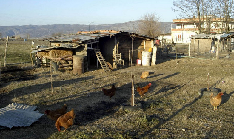 ΖΕΙ ΕΠΤΑ ΜΗΝΕΣ ΣΤΟ ΚΟΤΕΤΣΙ ΓΙΑ ΝΑ ΜΗΝ ΕΧΕΙ ΕΠΑΦΗ ΜΕ ΤΗΝ ΓΥΝΑΙΚΑ ΚΑΙ ΤΗΝ ...