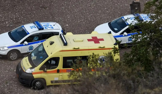 ΟΙΚΟΓΕΝΕΙΑΚΗ ΣΦΑΓΗ ΑΝΑΜΕΣΑ ΣΕ ΠΕΘΕΡΟ ΓΑΜΠΡΟ ΚΑΙ ΚΟΥΝΙΑΔΟ | TASTV.gr ...