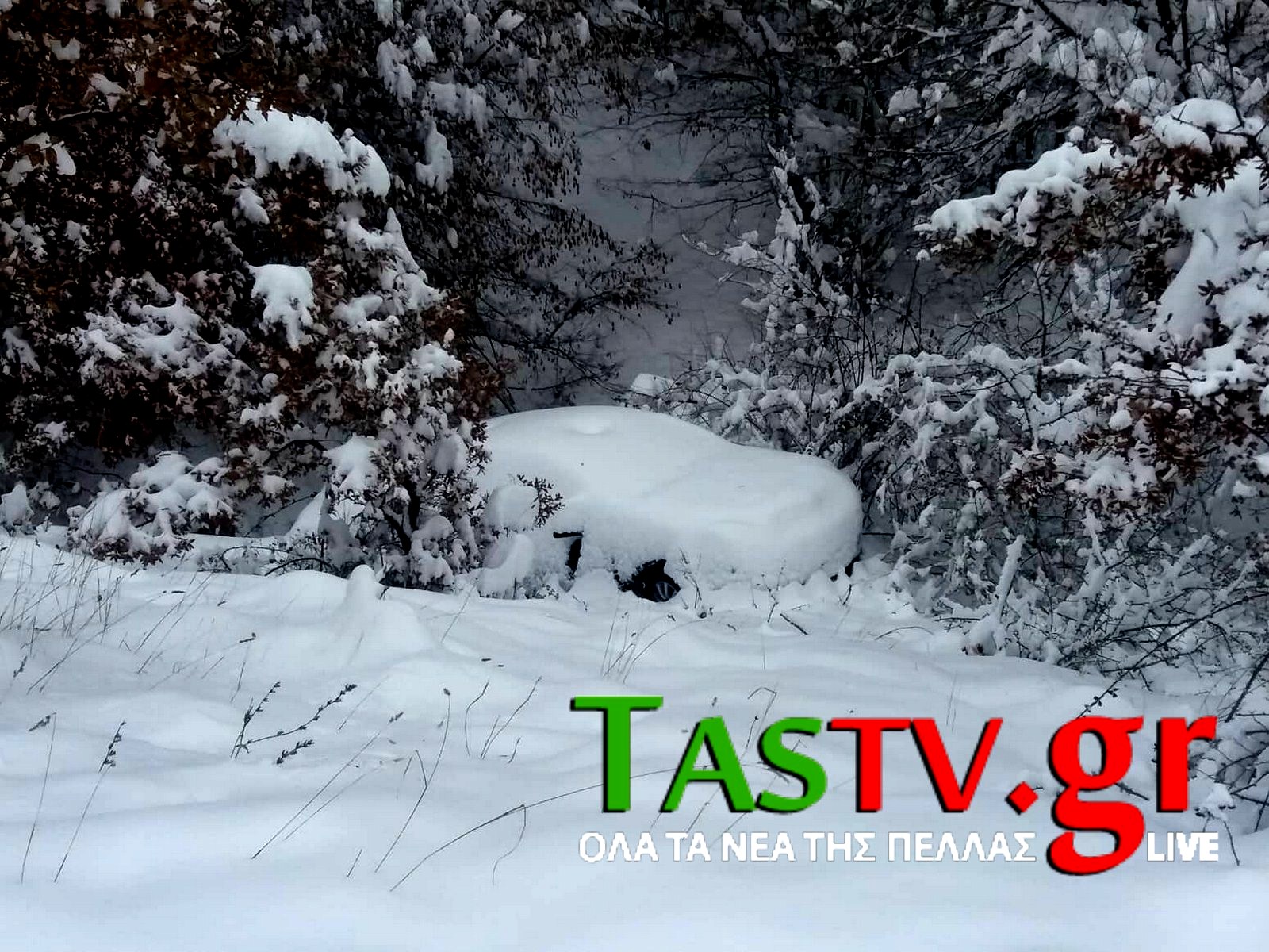 "ΑΓΙΟ" ΕΙΧΕ Ο ΟΔΗΓΟΣ ΠΟΥ ΛΟΓΩ ΟΛΙΣΘΗΡΟΤΗΤΑΣ ΒΓΗΚΕ ΑΠΟ ΤΗΝ ΠΟΡΕΙΑ ΤΟΥ ...