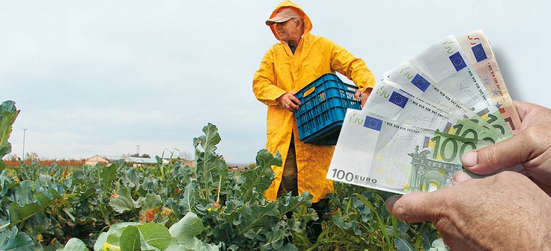ΔΙΠΛΟ ΚΑΠΕΛΟ ΣΤΙΣ ΕΙΣΦΟΡΕΣ ΤΩΝ ΑΓΡΟΤΩΝ ΑΠΟ ΤΟ 2018 ΚΑΙ ΜΕΤΑ | TASTV.gr ...
