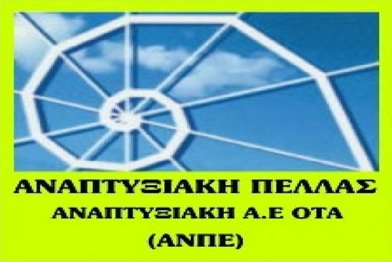 ΑΝΑΠΤΥΞΙΑΚΗ ΠΕΛΛΑΣ : ΑΝΑΔΕΙΞΗ ΝΕΟΥ ΔΙΟΙΚΗΤΙΚΟΥ ΣΥΜΒΟΥΛΙΟΥ ΜΕΤΑ ΤΗΝ ...