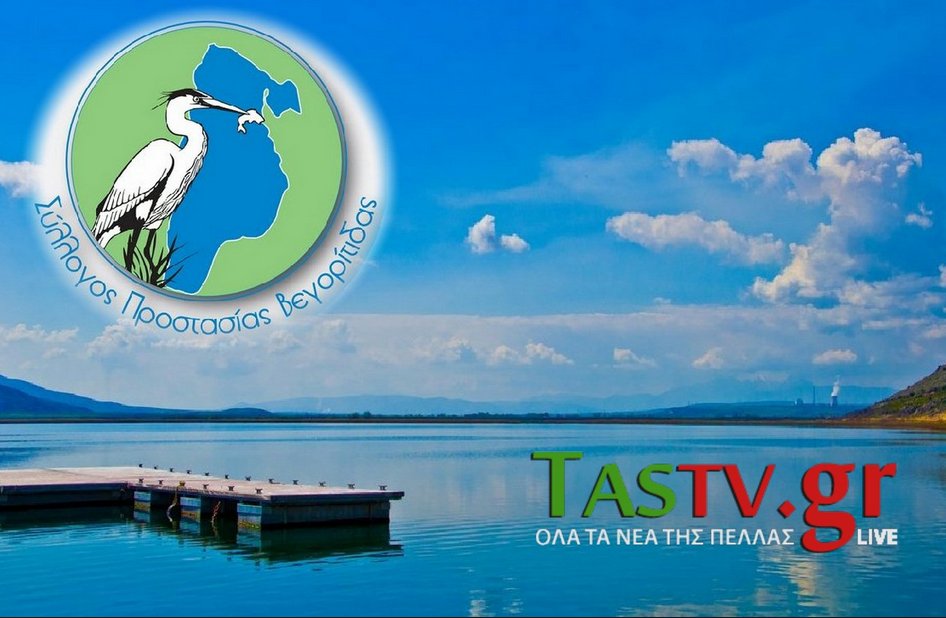 ΘΑΥΜΑ ΣΤΗ ΛΙΜΝΗ ΒΕΓΟΡΙΤΙΔΑ: Η ΑΠΟΚΕΝΤΡΩΜΕΝΗ ΔΙΟΙΚΗΣΗ ΗΠΕΙΡΟΥ-ΔΥΤ ...