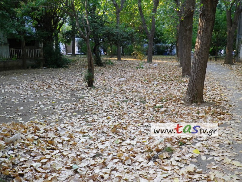ΣΤΟ ΕΛΕΟΣ ΤΟΥ ΘΕΟΥ! Η ΠΟΛΗ ΤΩΝ ΝΕΡΩΝ Η ΕΔΕΣΣΑ !!! (PHOTOS) | TASTV.gr ...