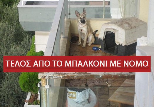 ΤΕΛΟΣ,ΤΑ ΣΚΥΛΙΑ ΣΤΟ ΜΠΑΛΚΟΝΙ – ΤΑ ΠΡΟΣΤΑΤΕΥΕΙ Ο ΝΟΜΟΣ ΜΕ ΠΡΟΣΤΙΜΑ ...