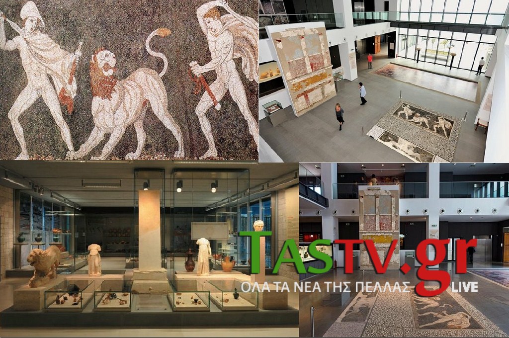 ΕΚΔΗΛΩΣΗ ΣΤΟ ΑΡΧΑΙΟΛΟΓΙΚΟ ΜΟΥΣΕΙΟ ΤΗΣ ΠΕΛΛΑΣ | TASTV.gr | Τα νέα της ...