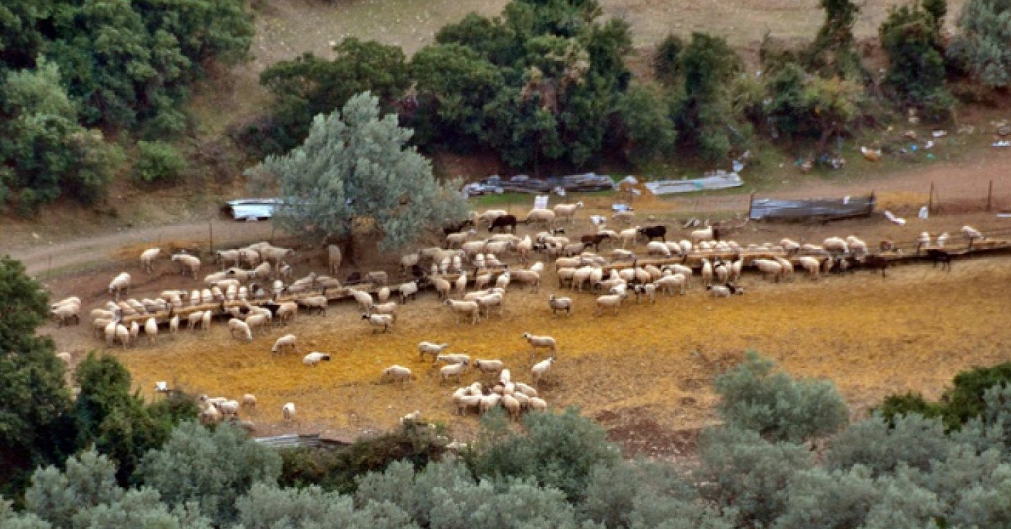 ΠΟΤΕ ΛΗΓΕΙ Η ΠΡΟΘΕΣΜΙΑ ΓΙΑ ΤΙΣ ΔΗΛΩΣΕΙΣ ΕΝΤΑΞΗΣ ΕΚΤΑΣΕΩΝ ΣΤΑ ΣΧΕΔΙΑ ...