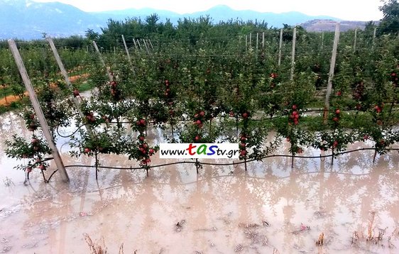 Θ. ΤΖΑΚΡΗ ΕΓΚΡΙΘΗΚΑΝ ΑΠΟ ΤΗΝ ΔΕΗ ΟΙ ΑΠΟΖΗΜΙΩΣΕΙΣ ΑΠΟ ΤΗΝ ΥΠΕΡΧΕΙΛΙΣΗ ...