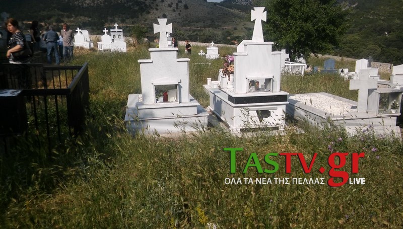 ΔΗΜΟΣ ΕΔΕΣΣΑΣ : ΑΚΟΠΑ ΤΑ ΧΟΡΤΑ ΣΤΑ ΚΟΙΜΗΤΗΡΙΑ ΤΟΥ Κ. ΓΡΑΜΜΑΤΙΚΟΥ (VIDEO ...
