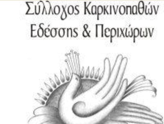 ΕΚΛΟΓΕΣ ΣΥΛΛΟΓΟΥ ΚΑΡΚΙΝΟΠΑΘΩΝ ΈΔΕΣΣΑΣ ΚΑΙ ΠΕΡΙΧΩΡΩΝ | TASTV.gr | Τα νέα ...